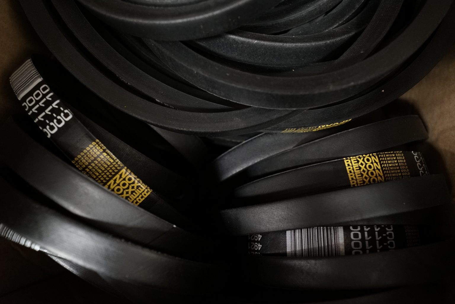 Correia Poly V: o que é, para que serve e quanto tempo dura